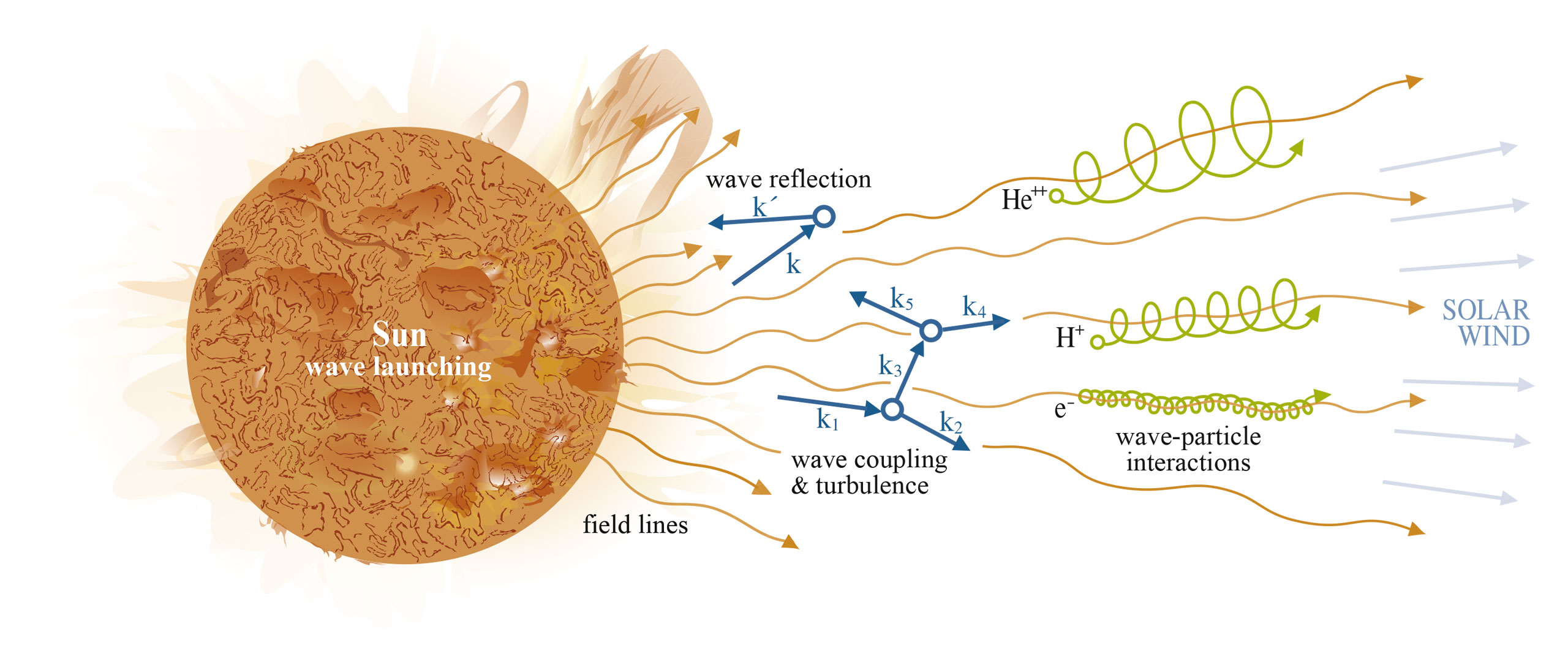 How Waves and Turbulence Heat the Solar Corona and Accelerate the Solar ...